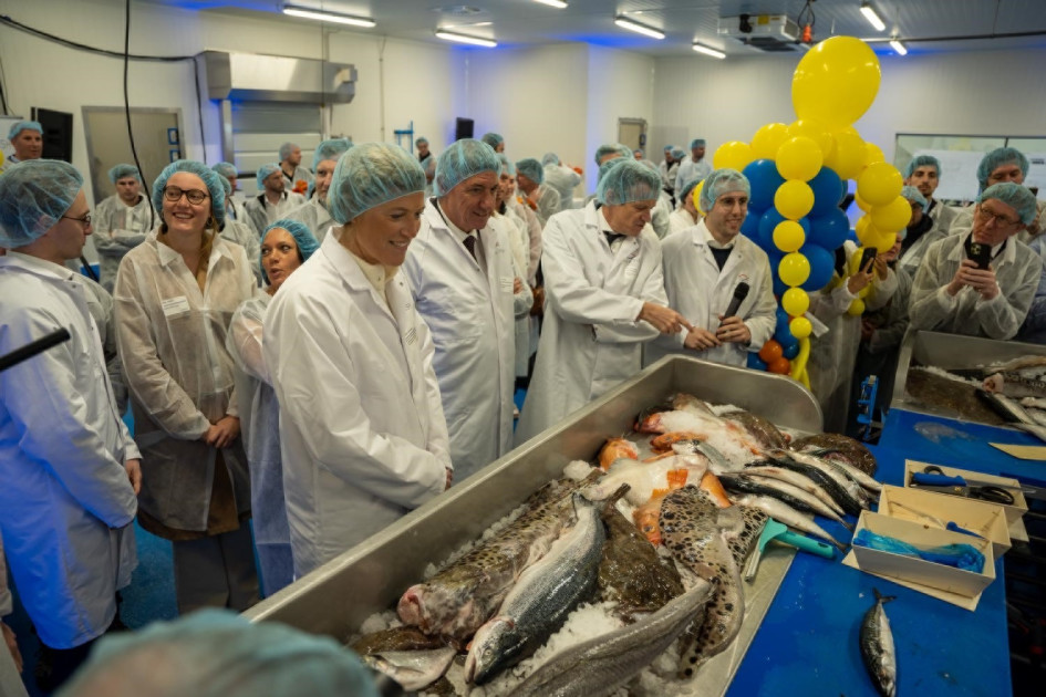 Alfa Fish opent nieuwe fabriek en wil meer lokale vis op Vlaamse borden | VILT vzw