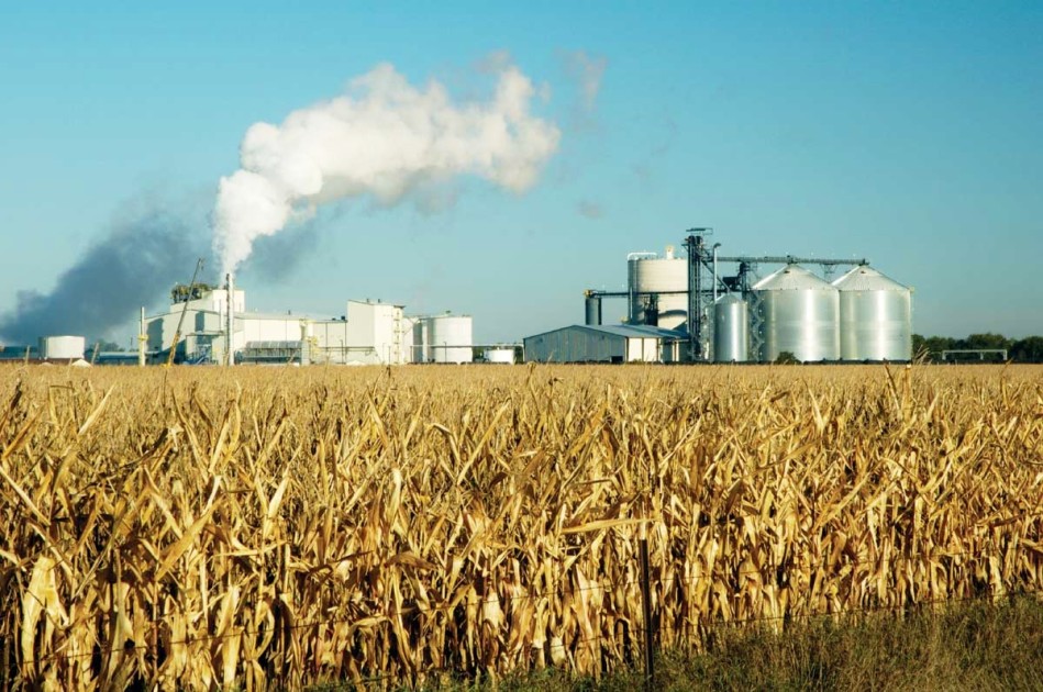 Biobrandstoffen stoten meer CO2 uit dan de fossiele brandstoffen die ze ...