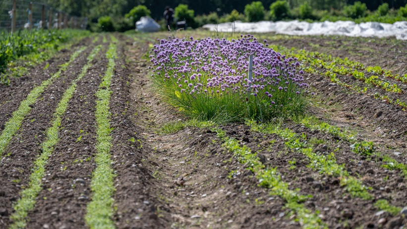Farming for Climate wil 1.000 Belgische boerderijen op pad van agro ...