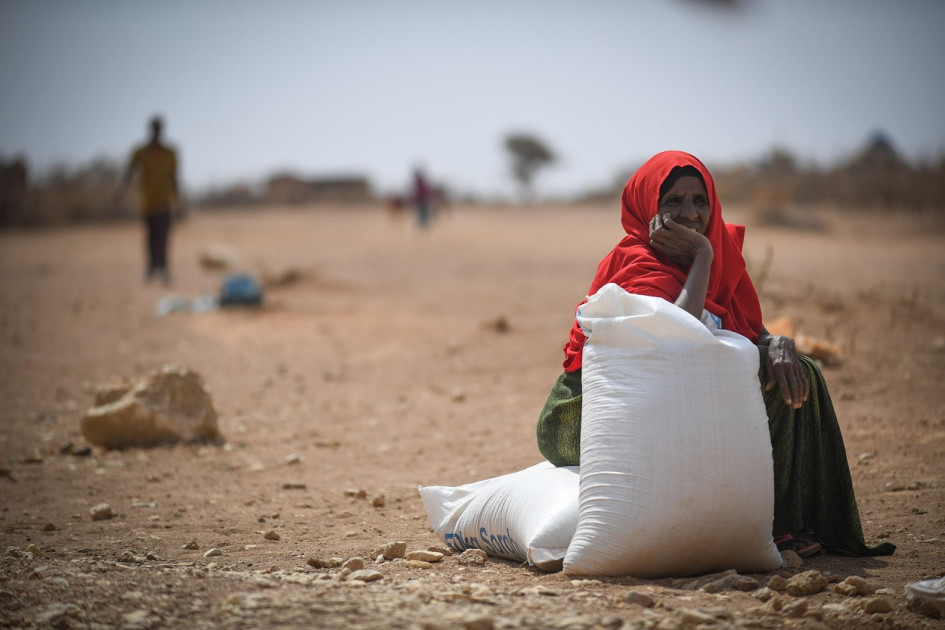 Wereldwijd tot 828 miljoen mensen getroffen door honger in 2021 | VILT vzw