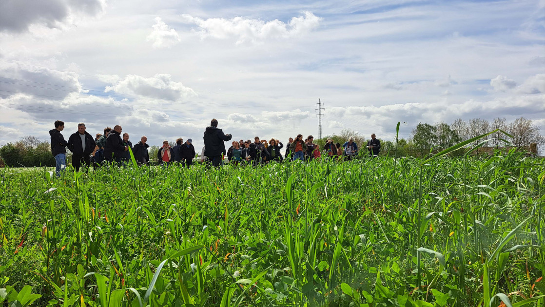 Inagro en CCBT willen met 16 andere EU-partners de advisering voor biolandbouw opschalen | VILT vzw