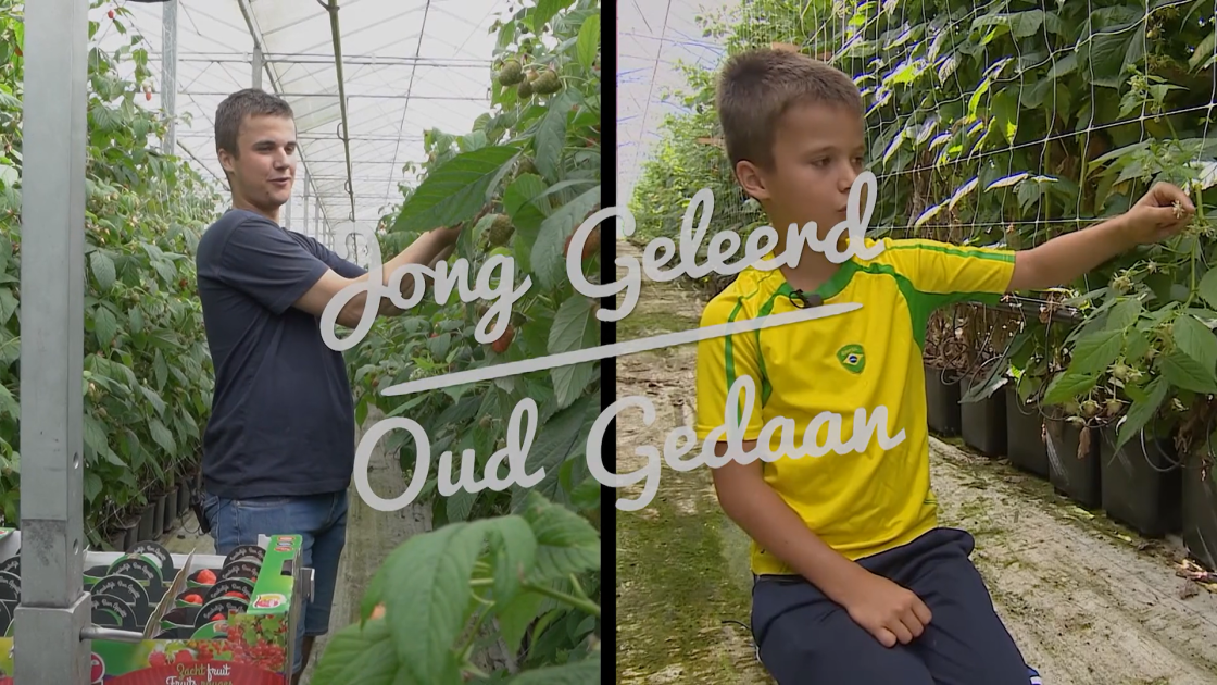 ? Jong Geleerd Oud Gedaan: Louis-Lysander | VILT vzw