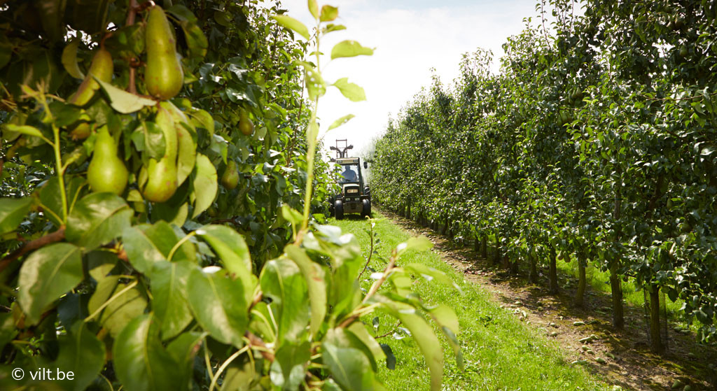 EU trekt opnieuw meer dan 100 miljoen uit voor promotie ...
