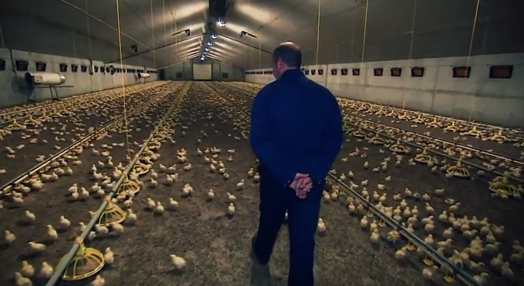 Invoering European Chicken Commitment vergroot Europese afhankelijkheid ...