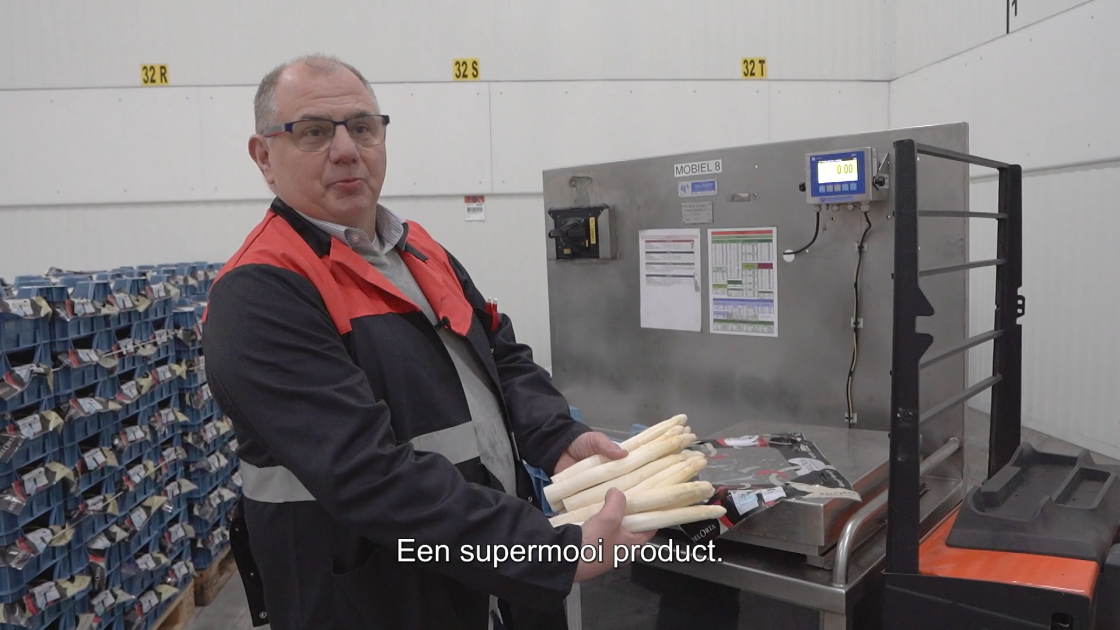 ?Krak in het Vak: Veilingkeurder | VILT vzw