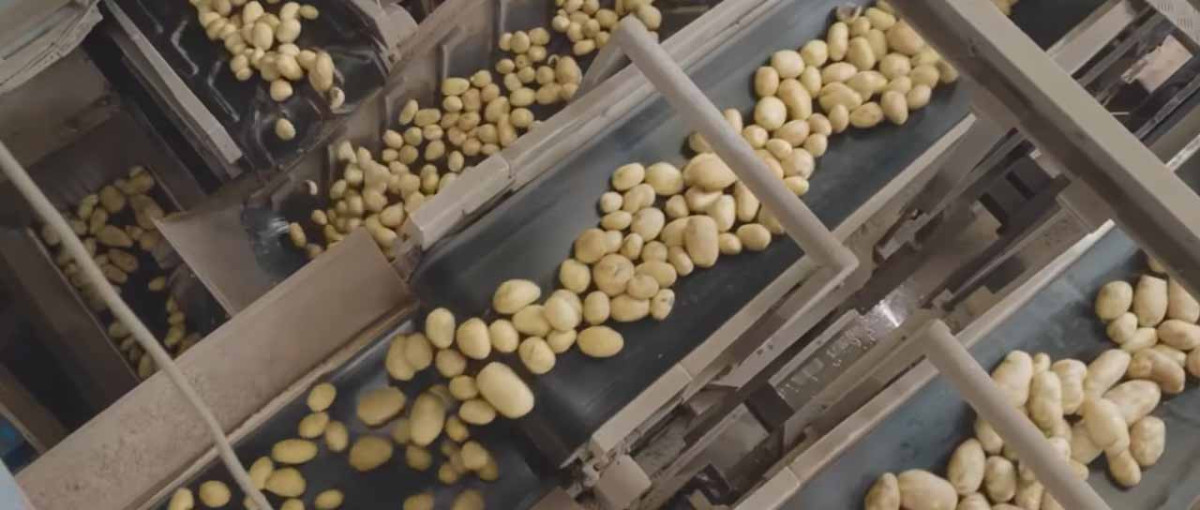 Ook Aviko plant uitbreiding frietproductie in Poperinge | VILT vzw