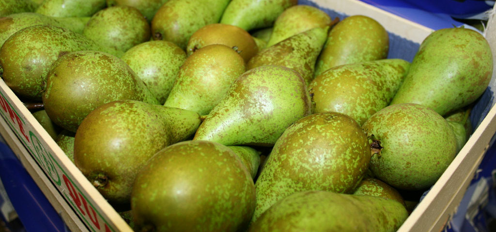 Belgische Fruitveiling treedt toe tot veilingassociatie | VILT vzw
