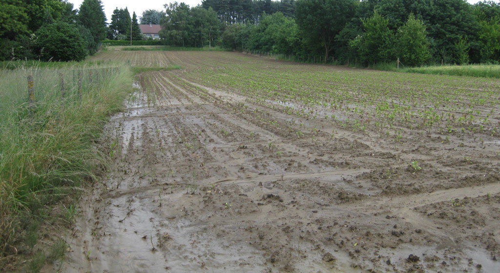 Boeren staan klaar om voorjaarswerk eindelijk af te ronden ...