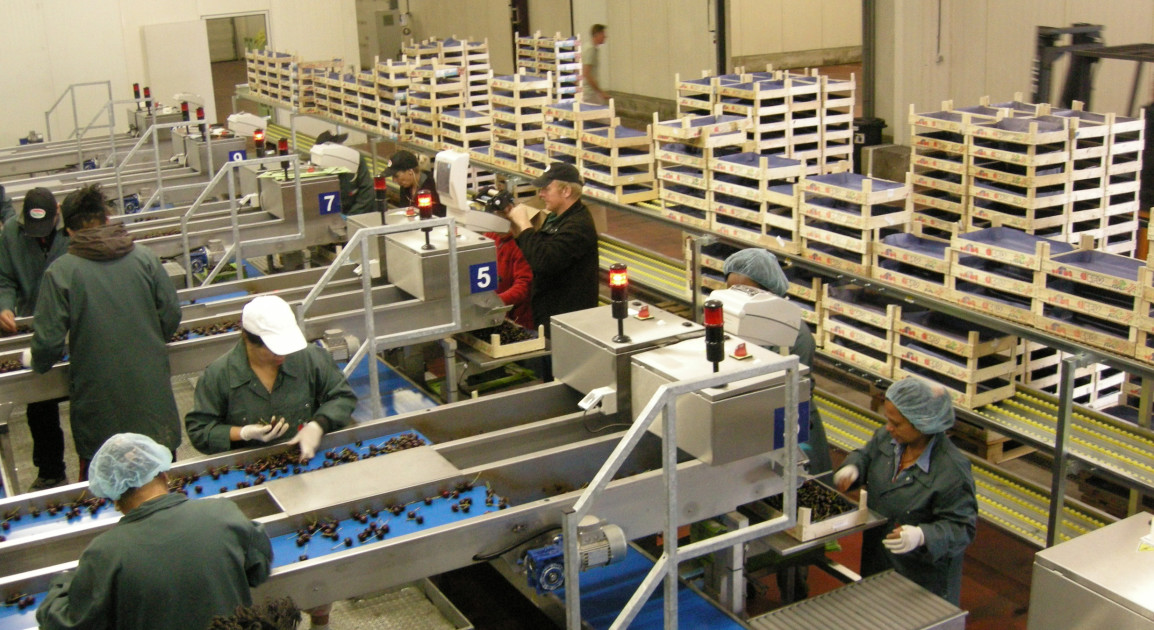 Juridisch akkoord over ‘samenwerking’ BelOrta en Belgische Fruitveiling ...