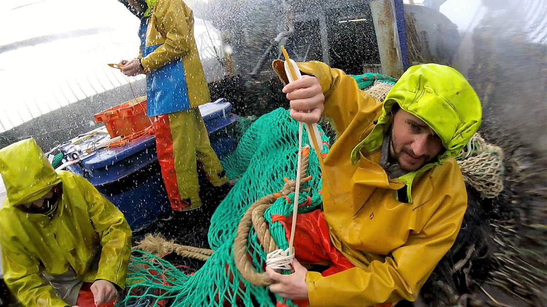 Studie: Minder vis in de zee dan gedacht | VILT vzw