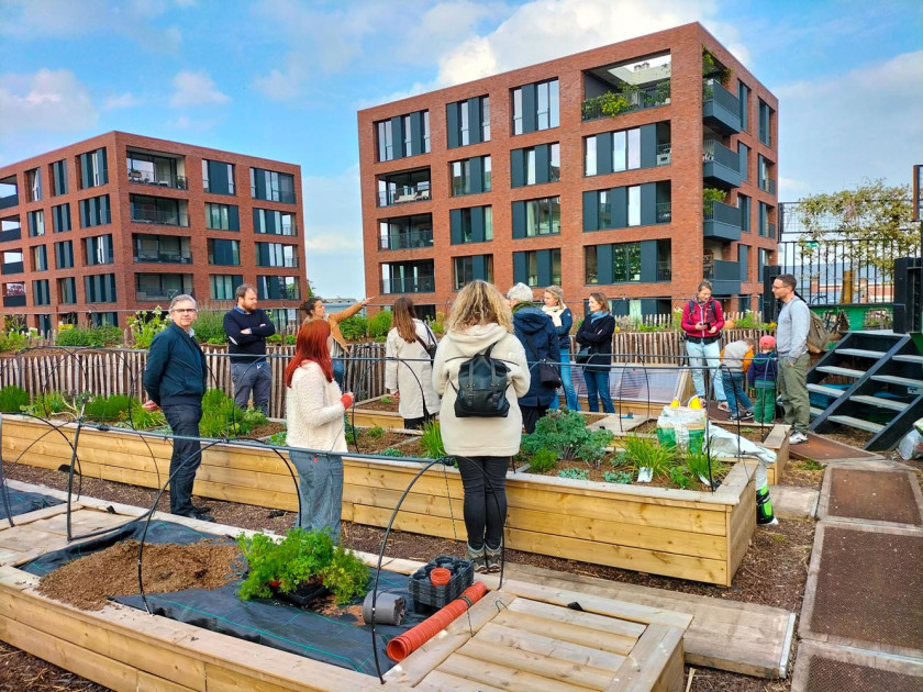 Stadslandbouw: Antwerpse dakboerderij wil band tussen landbouw en ...