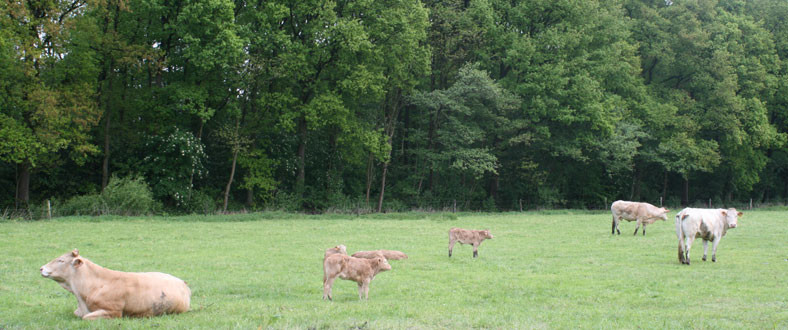 800 hectare landbouwgebied bedreigd door gewestelijk uitvoeringsplan ...